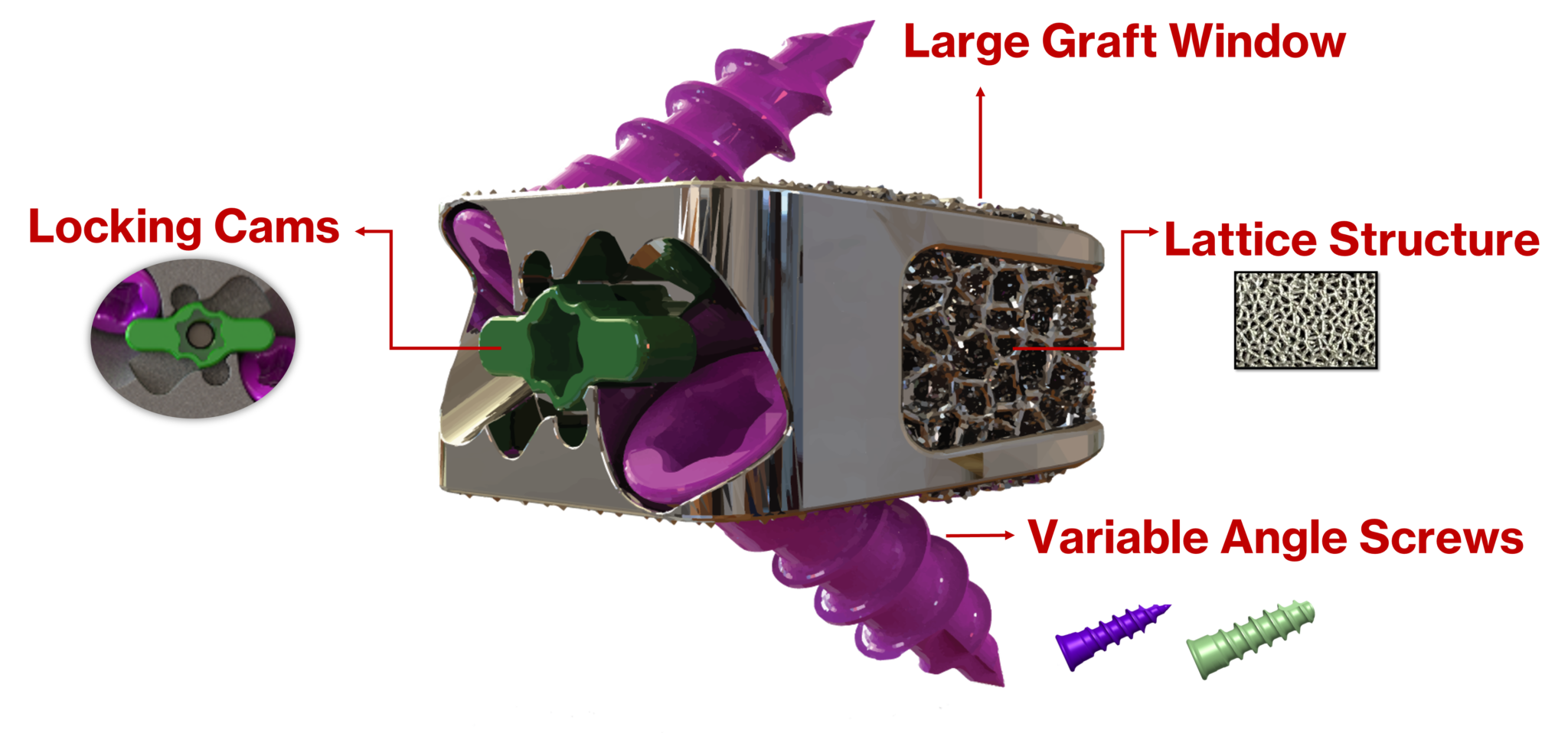 RIGEL 3DR™ Standalone Cervical Interbody System - MiRus