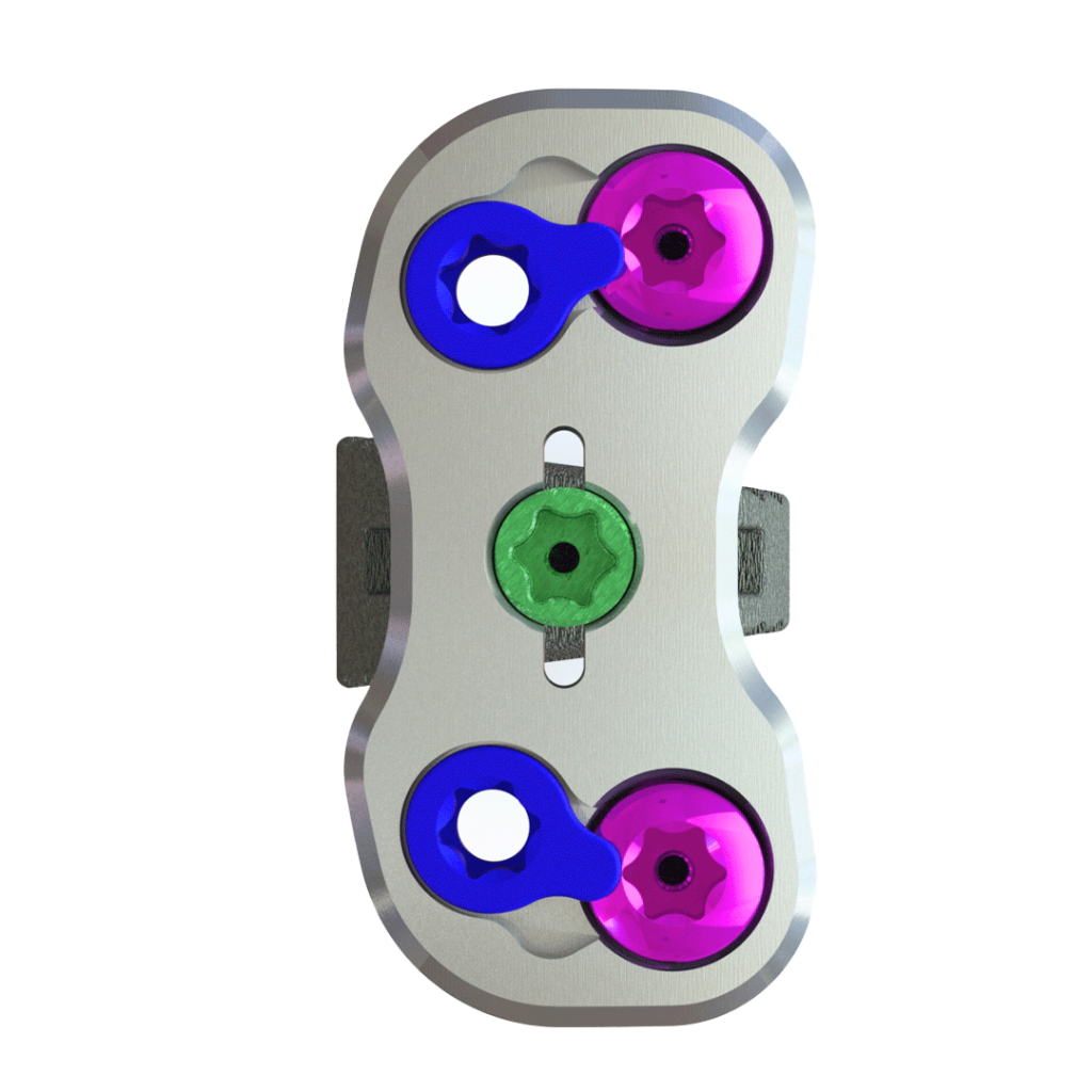 MoRe® Lumbar Plates - MiRus